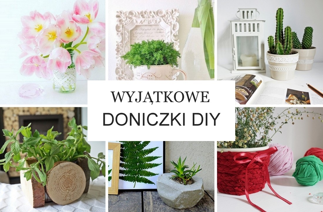 Doniczki diy: 14 pomysłów na ich samodzielne stworzenie